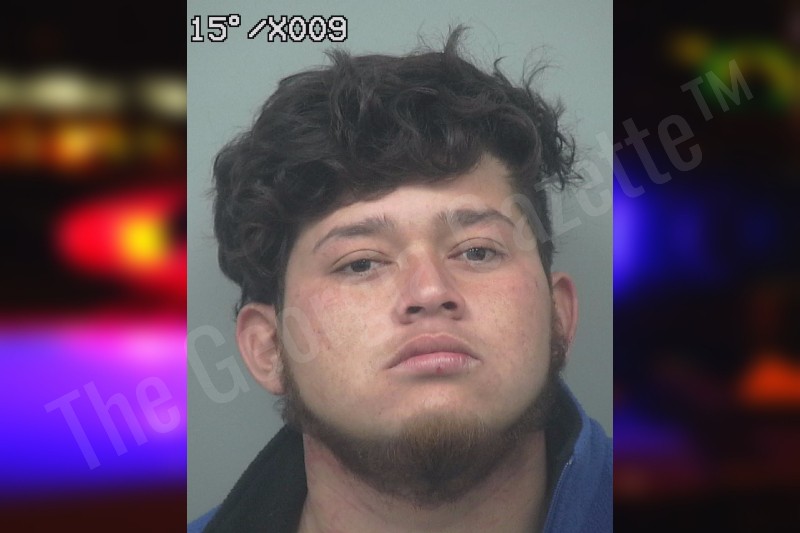 Edwin Rivas — Gwinnett County Jail Bookings