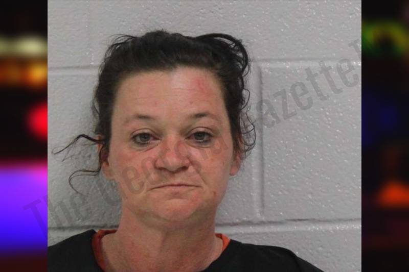 Amy Rivers — Carroll County Jail Bookings