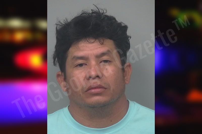 Marvin Ruiz Mejia — Gwinnett County Jail Bookings