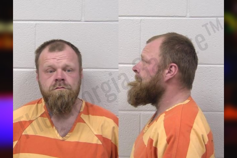 Daniel Ramey — Paulding County Jail Bookings