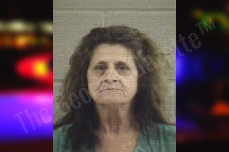 Lillye Reddin — Whitfield County Jail Bookings