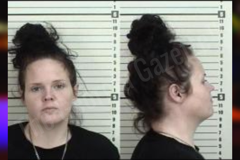 Megan Robison — Camden County Jail Bookings