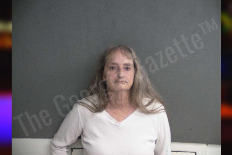 Penny Rogers — Twiggs County Jail Bookings