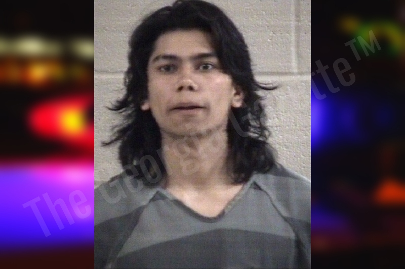 Cesar Ruelas — Whitfield County Jail Bookings