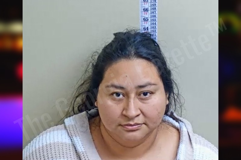 Flor Sanchez-Osorio — Gwinnett County Jail Bookings