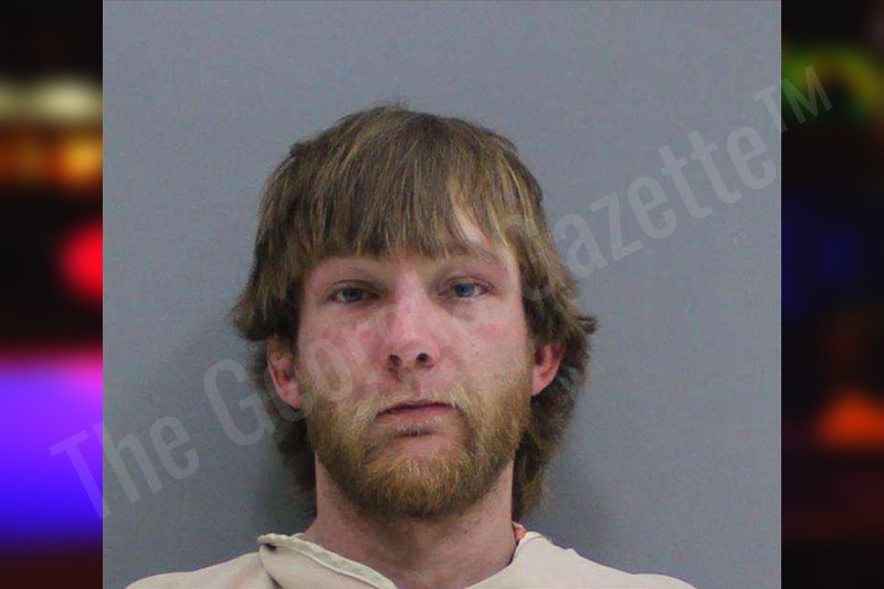 Michael Savage — Rabun County Jail Bookings