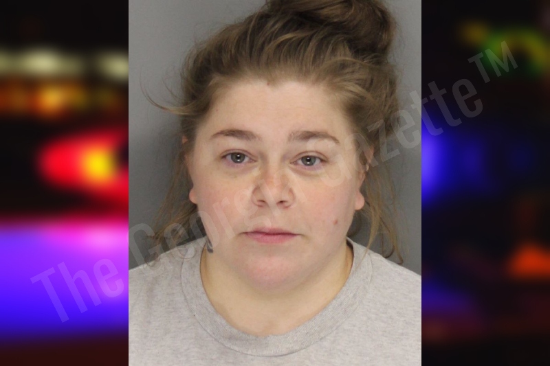 Melissa Seevers — Cobb County Jail Bookings