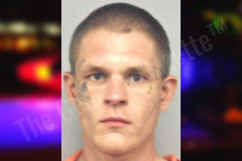 Austin Sellers — Burke County Jail Bookings