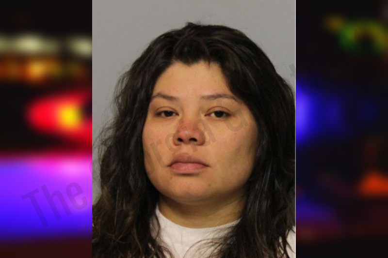 Dana Serrano Ortiz — Hall County Jail Bookings