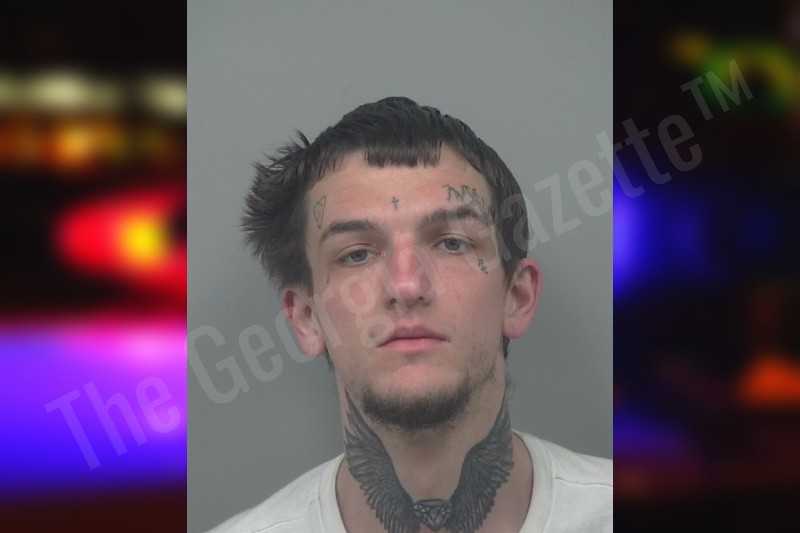 Taylor Shedd — Gwinnett County Jail Bookings