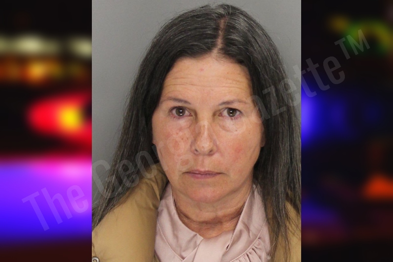 Elizabeth Shore — Cobb County Jail Bookings