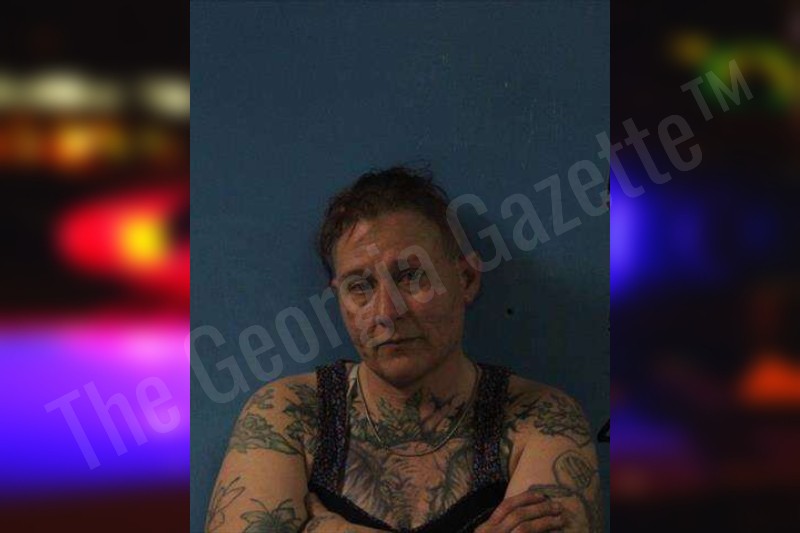 Cara Singer — Monroe County Jail Bookings