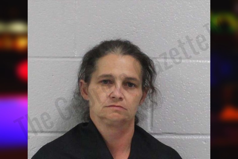 Michelle Smith — Carroll County Jail Bookings
