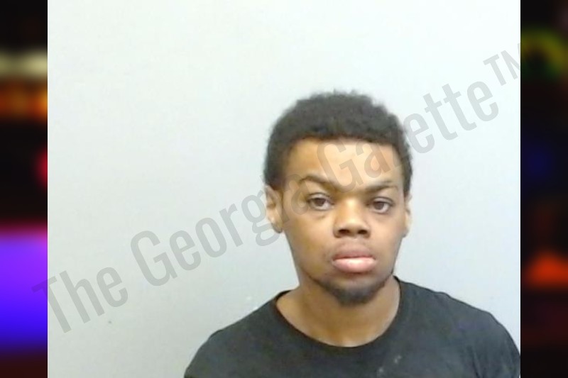 Elijah Steger — Fulton County Jail Bookings