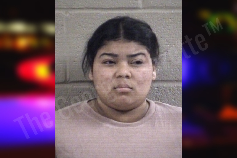 Ericka Sanchez-De Leon — Whitfield County Jail Bookings