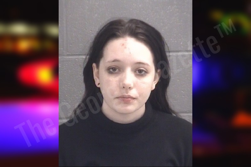 Kinsey Sanders — Spalding County Jail Bookings