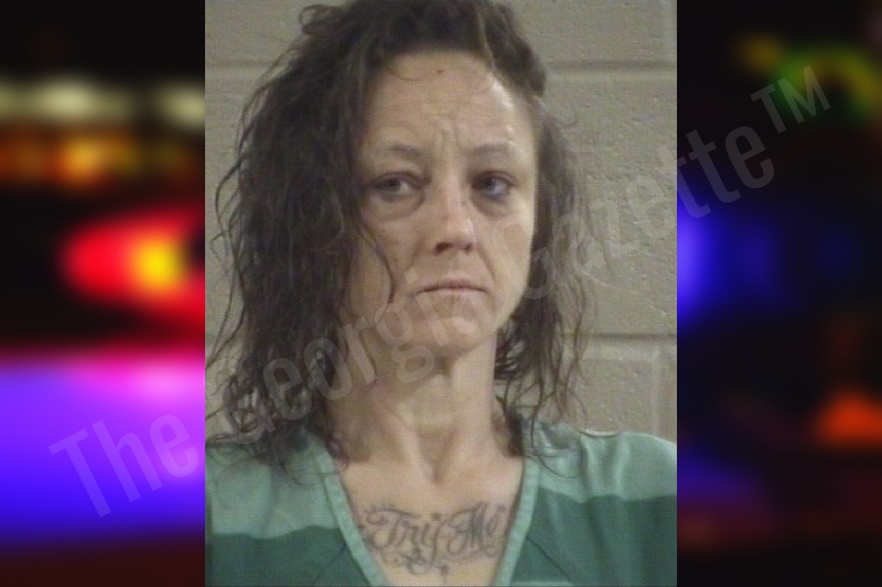 Crystal Sandoval — Whitfield County Jail Bookings