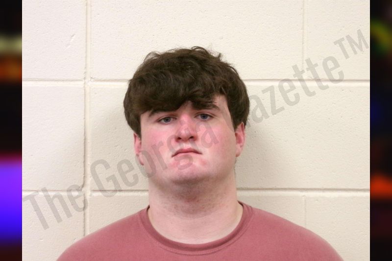Andrew Seaberg — Bulloch County Jail Bookings