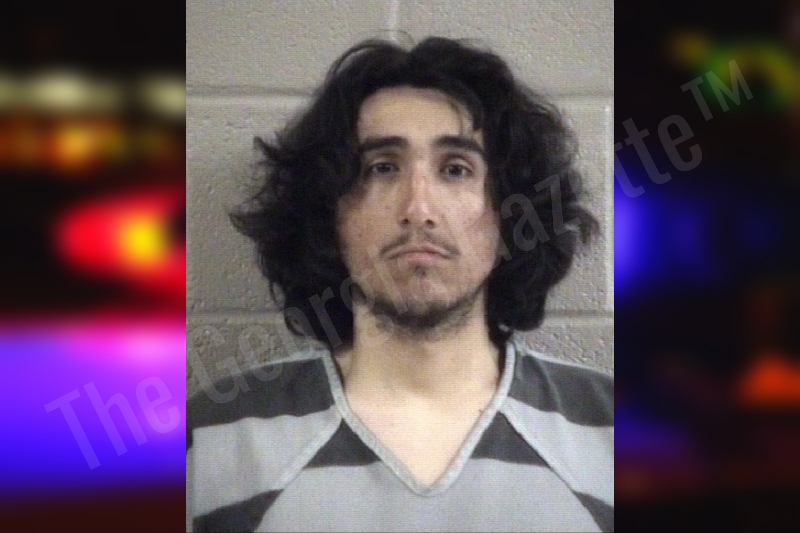 Edgar Serrato-Gomez — Whitfield County Jail Bookings