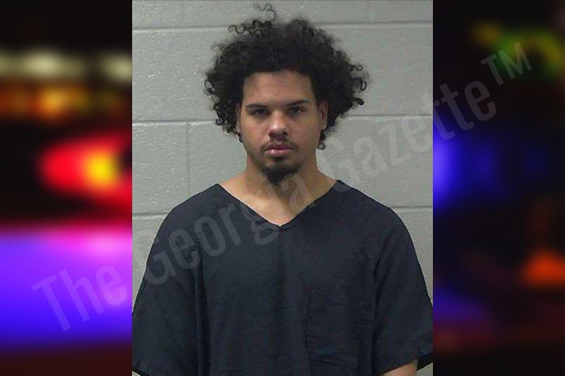 Christian Singleton — Gilmer County Jail Bookings