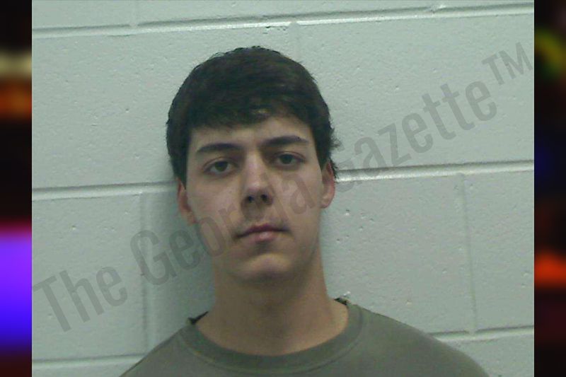 Brandon Sitton — Bulloch County Jail Bookings
