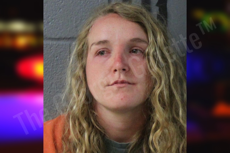 Suzanne Steel — Lumpkin County Jail Bookings