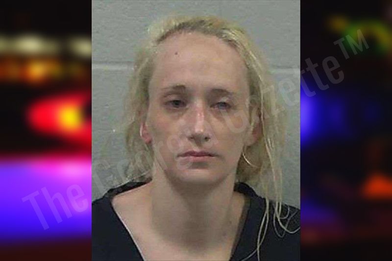 Emily Tinker — Gilmer County Jail Bookings