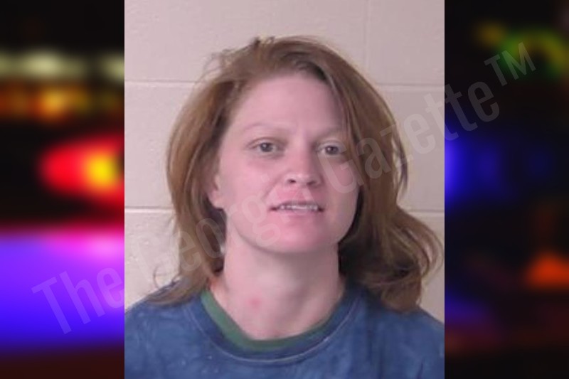 Jessica Tripp — Walker County Jail Bookings