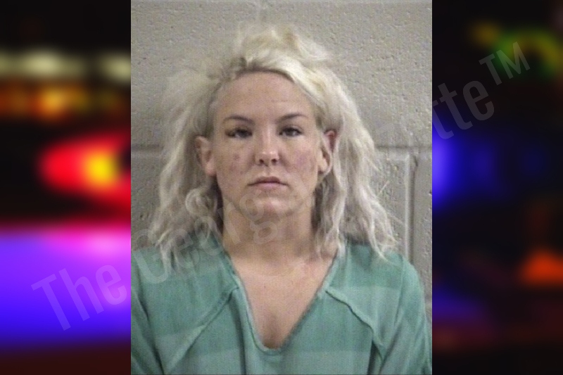 Lexie Updike — Whitfield County Jail Bookings