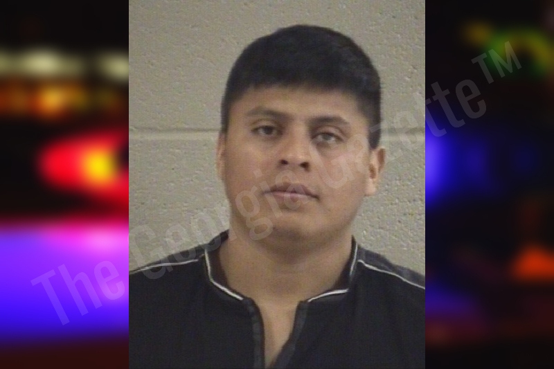 Wanderley Vega-Lopez — Whitfield County Jail Bookings