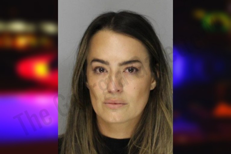 Jennifer Wessling — Hall County Jail Bookings