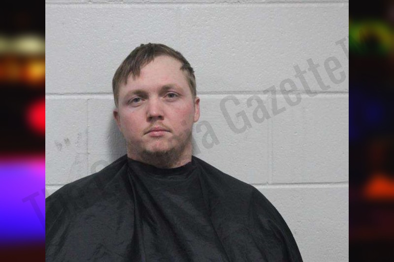 Tyler Williams — Habersham County Jail Bookings