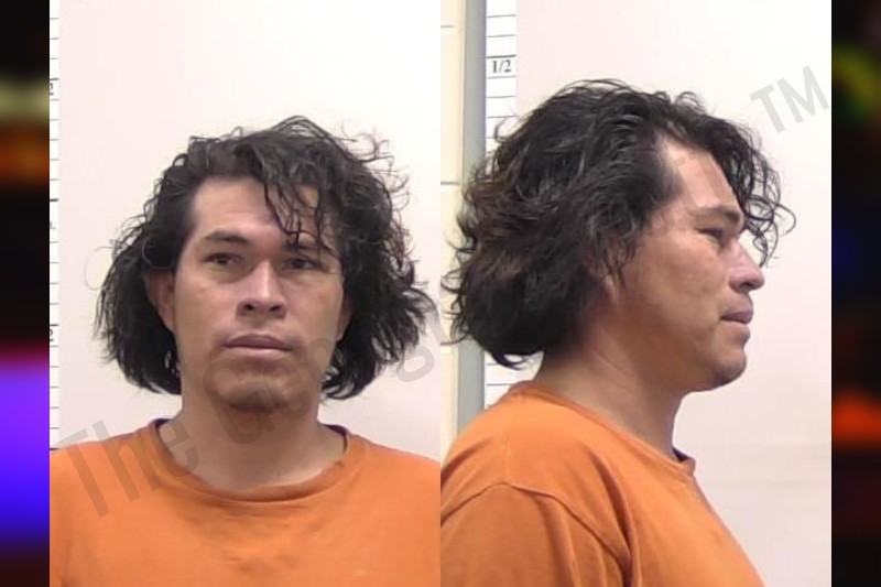 Mitchell Wilson William — Clarke County Jail Bookings