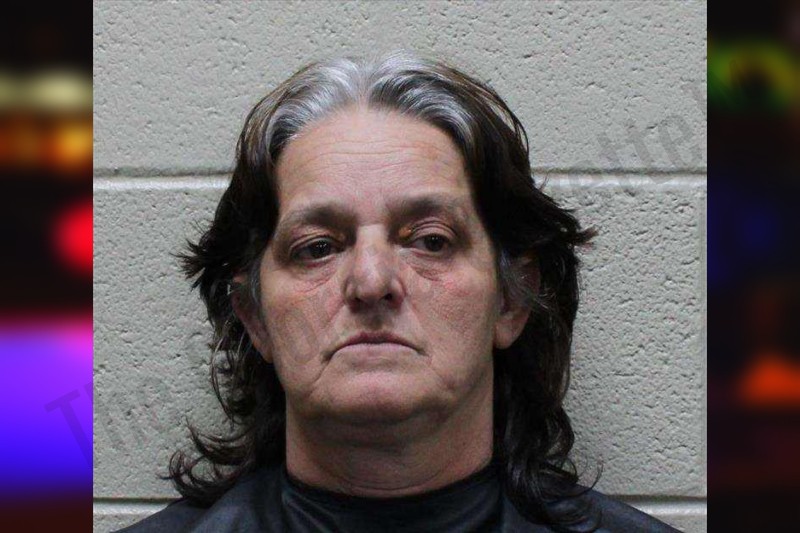 Aprilean Wise — Haralson County Jail Bookings