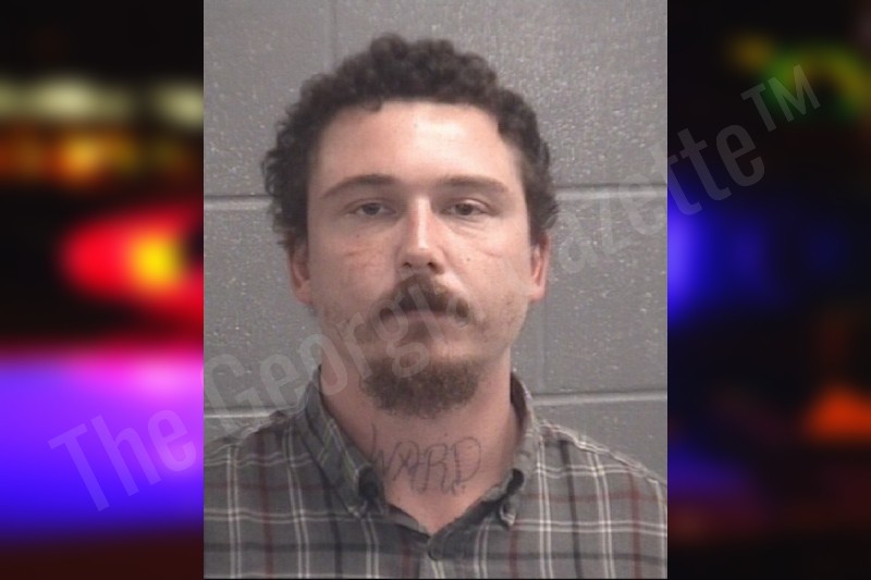 Joshua Ward — Spalding County Jail Bookings