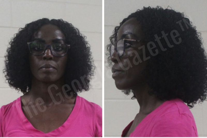 Wykeshia Webb-Huggins — Houston County Jail Bookings