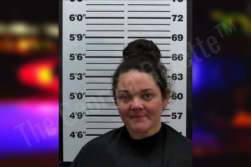 Whitney Webb — Hart County Jail Bookings