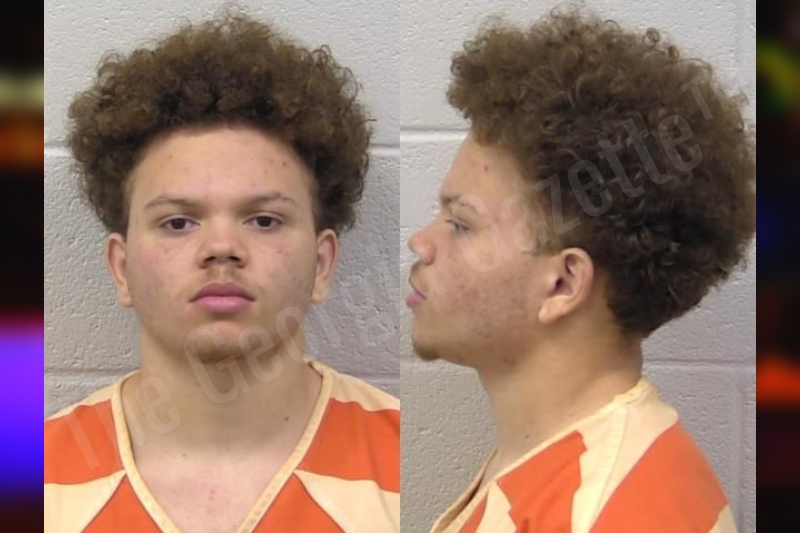 Jonathan Whitehead — Paulding County Jail Bookings