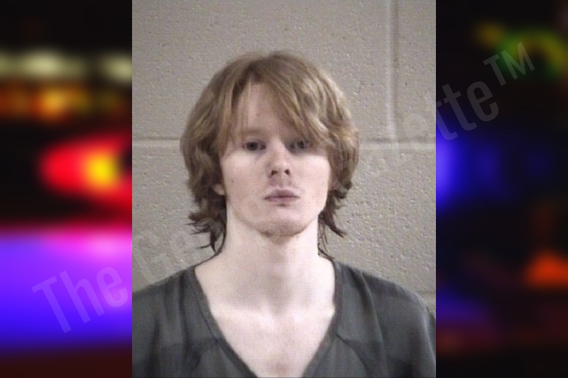 Darby Whitmire — Whitfield County Jail Bookings