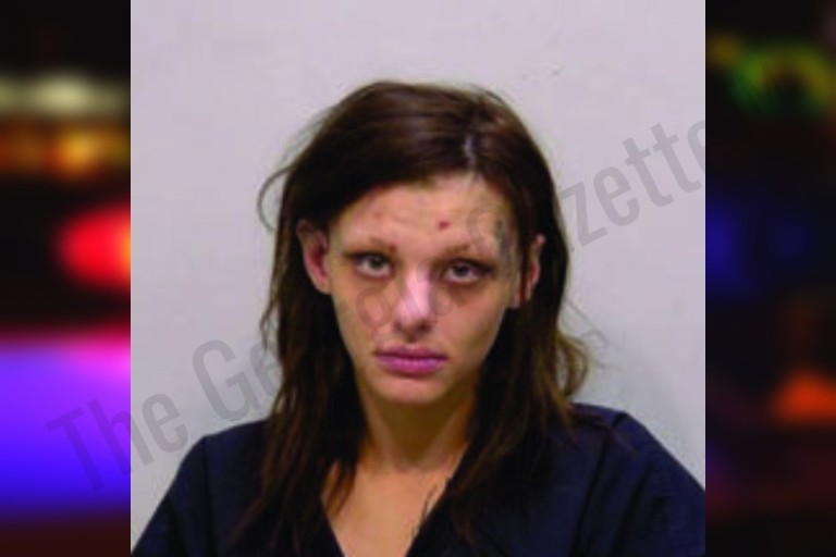 Isabella Wilcox — Bartow County Jail Bookings