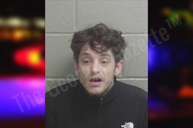 Kyle Williams — Wayne County Jail Bookings