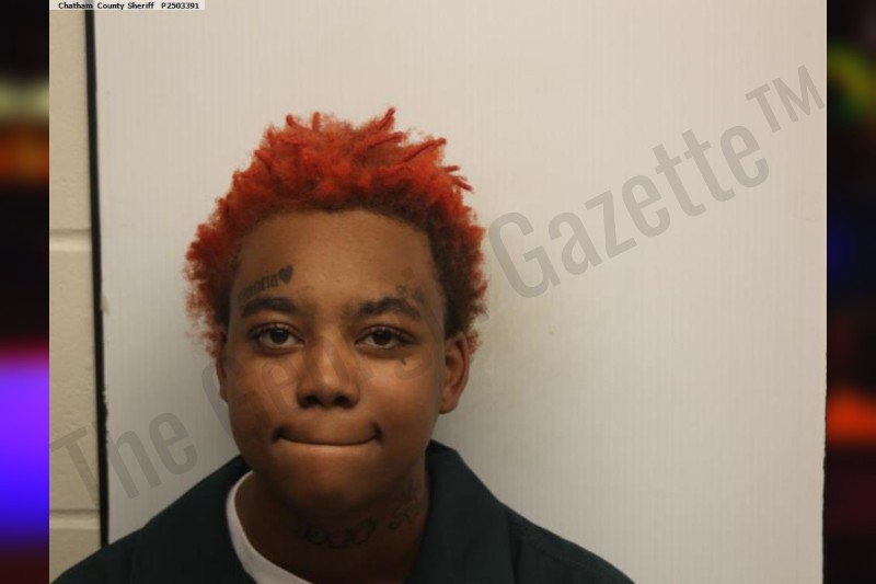 Laila Williams — Chatham County Jail Bookings