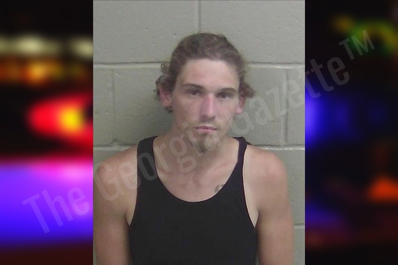 Johnny Wilson — Wayne County Jail Bookings