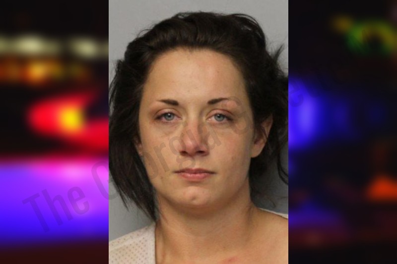 Miranda Young — Hall County Jail Bookings