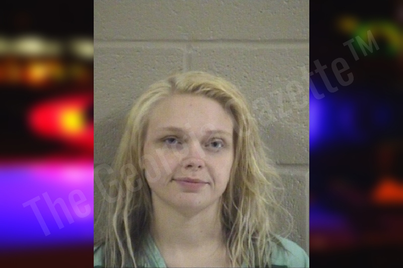 Amanda Abbott — Whitfield County Jail Bookings