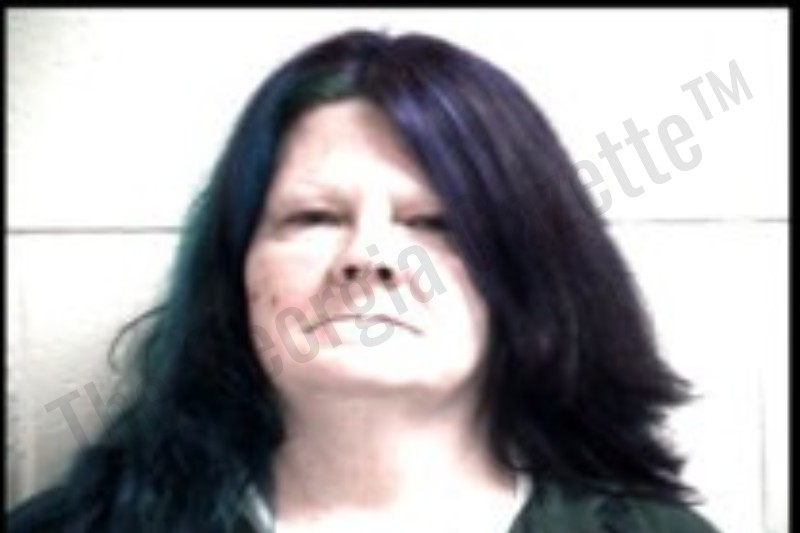 Virginia Bannister — Henry County Jail Bookings