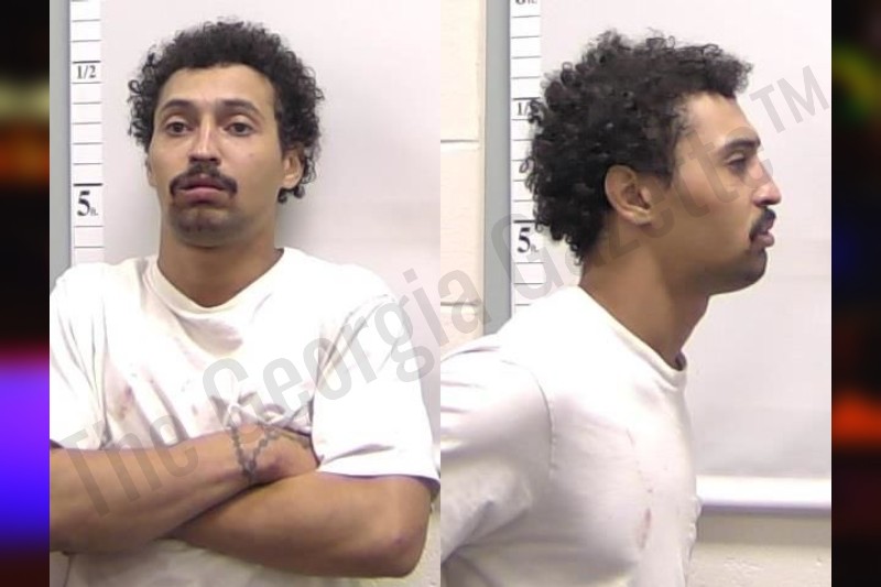 Tyelon Brock — Clarke County Jail Bookings