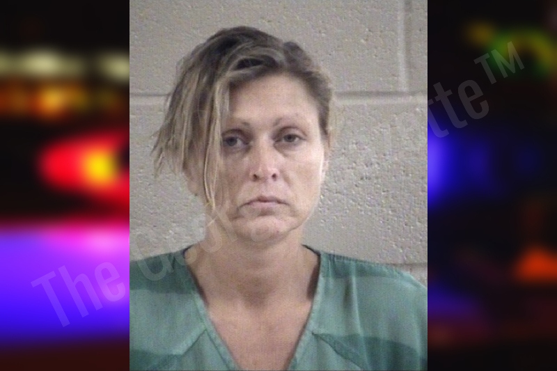 Sherry Baker — Whitfield County Jail Bookings