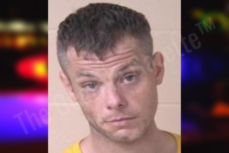 Shawn Ballanger — Walker County Jail Bookings