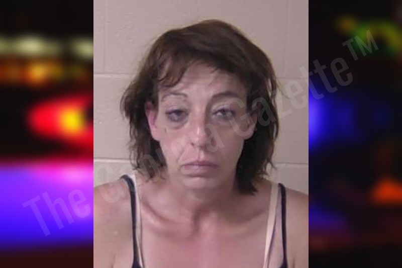 Christy Blevins — Walker County Jail Bookings